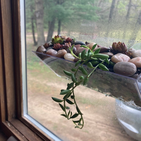 Suction Cup Window Planter - Long Triangular Window Box Style - 8" Long ...