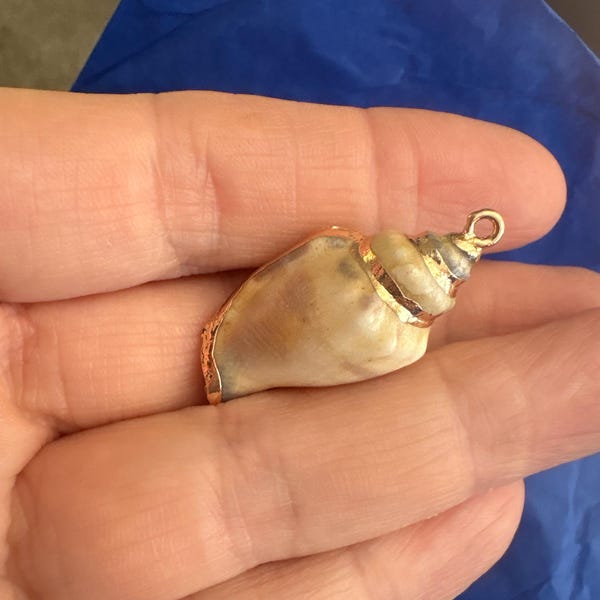Conch Spiral Shell Pendant, Gold or Silver Edge, Natural Seashell ...