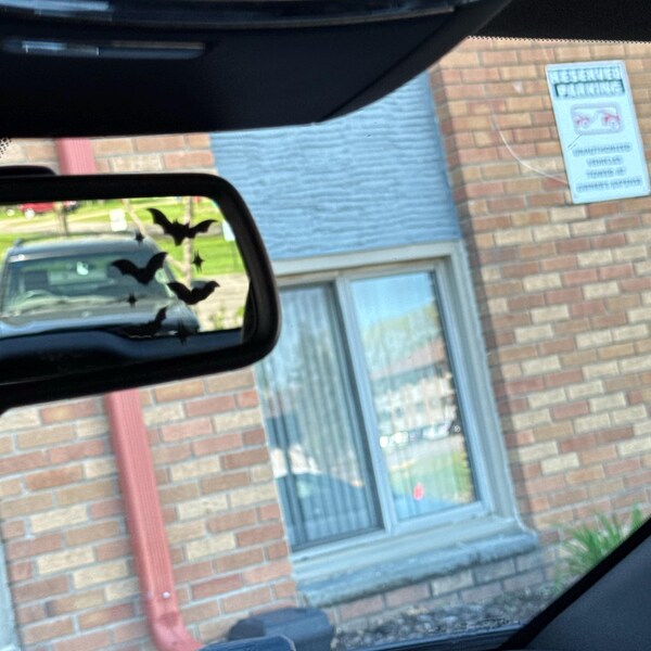 Support Your Local Cryptids Bumper Decal, Spooky Car Accessories ...