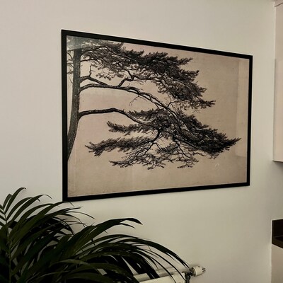 Pine Tree Branch Print, Vintage Tree Drawing Enhanced, Printable Tree ...