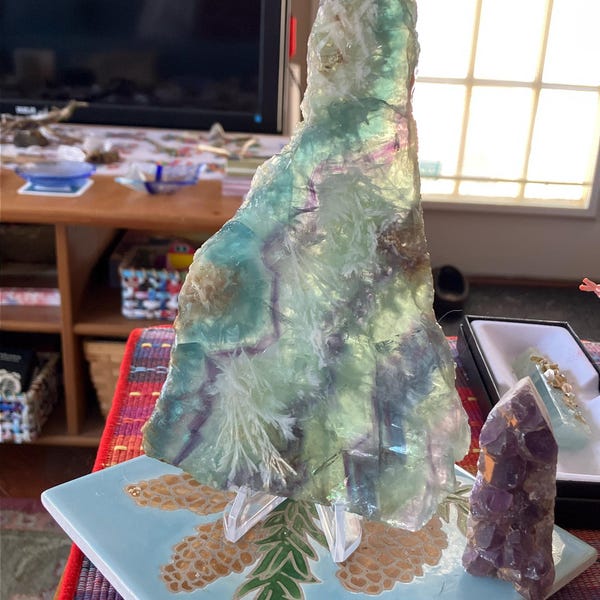 Fossilized Dinosaur Bone Freeform - Display Specimen - Root Chakra ...