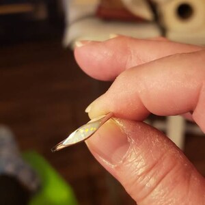 Moon Snail Shell Tanea Lineata 24k Gold Plated Trim Pendant Sea Pendant ...