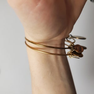 Alex and Ani M Initial Bangle Bracelet, Rafaelian Silver/gold, or Silver Retired and Rare ...