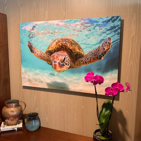 Hawaiian Green Sea Turtle Fine Art Print Titled "my Lil Friends" on 5 ...