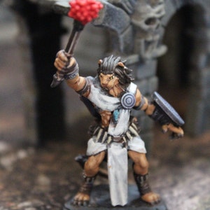 Male Leonin Warriors Velrock 3d Printed Resin Miniature Mini Fantasy ...