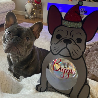 French Bulldog Happy Birthday Card With Frenchie and Balloon Design - Etsy