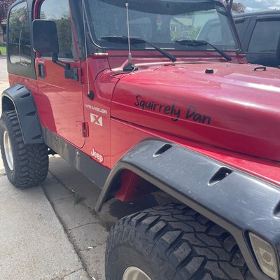 Pet ALERT Front Door Decal, Firefighter Warning Sign to Protect Pets - Etsy
