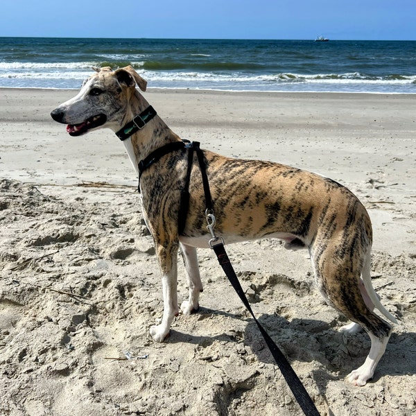 Labrador Key Fob/ Black Lab/golden Lab/ Lab Key Fob 6 and 3 Inch ...