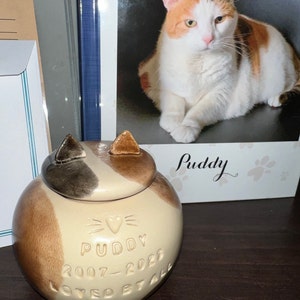 Calico Cat Urn, Spots Cat Urn, Ceramic Urn for Ashes, Pottery Urn for ...