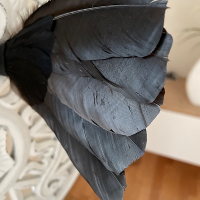 Black Raven Feathers, Crow Feathers, Magic, Witchcraft Tools - Etsy