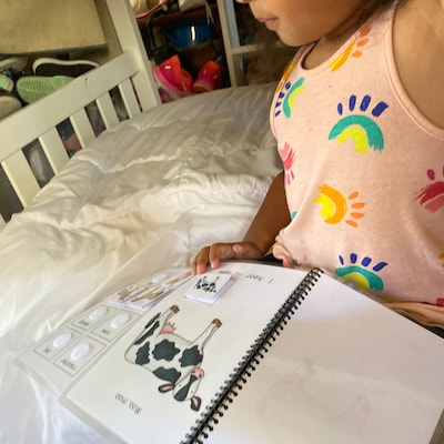 Sentence Starter Adapted Books for Speech Therapy / Special Education ...