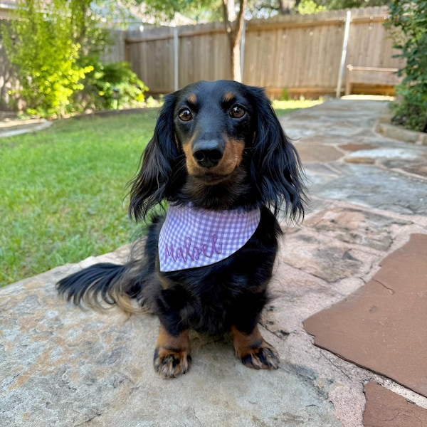 Dog Bandana LAVENDER Gingham Bandana for Dogs Snap on Dog Bandana ...