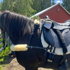 Anatomical Bridle Verity Bit Lifter for Mouthy / Sensitive Horse ...