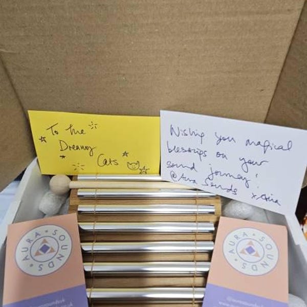 Seed Shell Shaker Cha Cha Nut Sound Healing Gift Box Back to Nature ...