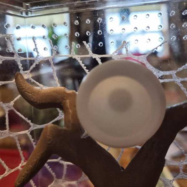 3D Printed Stone Castle Hide Removable Top Jumping Spider Terrarium ...