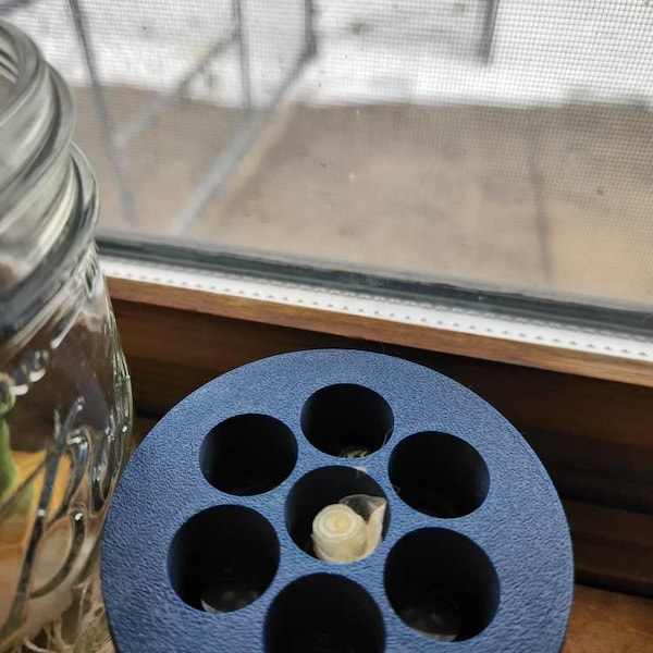 Green Onion Re-grower: Kratky Hydroponics Adapter for Mason Jars - Etsy