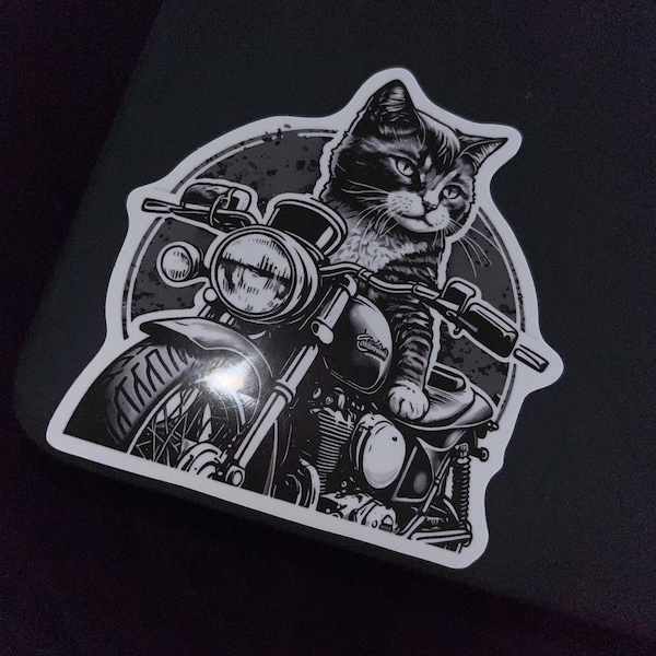 Motorcycle Helmet Sticker Cat on Motorcycle Sticker Gift for Cat Lovers ...