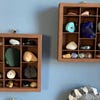 Wooden Curiosity Cabinet Printer Tray Letterbox Display, Rock Display ...