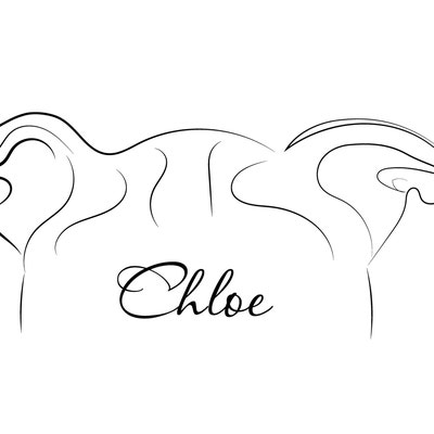 Erotic Art Print Erotic Line Drawing Art One Line Art Naked Couple One ...