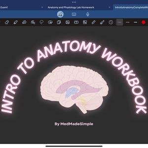 Intro to Anatomy Notes ~ Physiology Biology Science Study Guide Outline ...