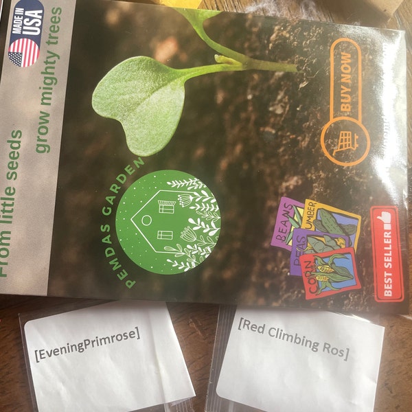 Red Climbing Rose Seeds--perennial - Authentic Seeds - Mix Seeds - Late ...