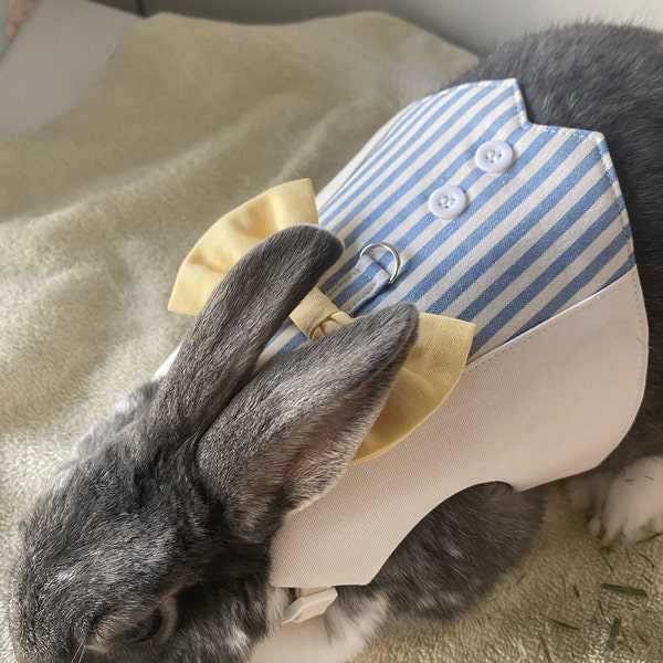 Stripe Harness for Only Rabbit (vest, Boy) - Etsy