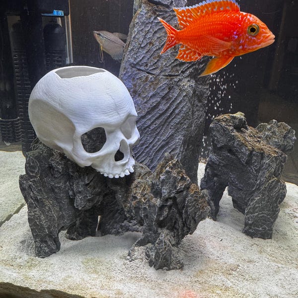 Betta Fish Skull Hide *new Sizes Available* - Etsy