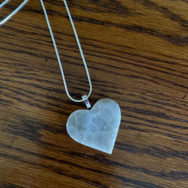 Rare 9.2oz Extinct Chain Coral Fossil halysites From Lake Michigan 425 ...