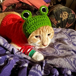 Flower Sun Hat 2 Different Styles Purple and White cat Accessories ...