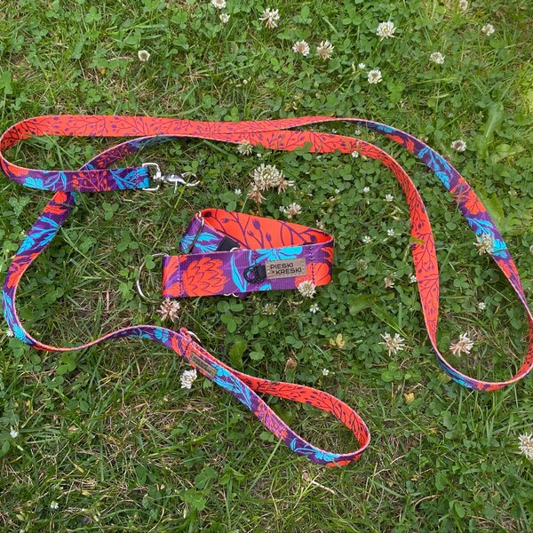 Rainbow Dog Grooming Belly Strap, Grooming Belt, Dog Groomer Gift, Lgbt ...