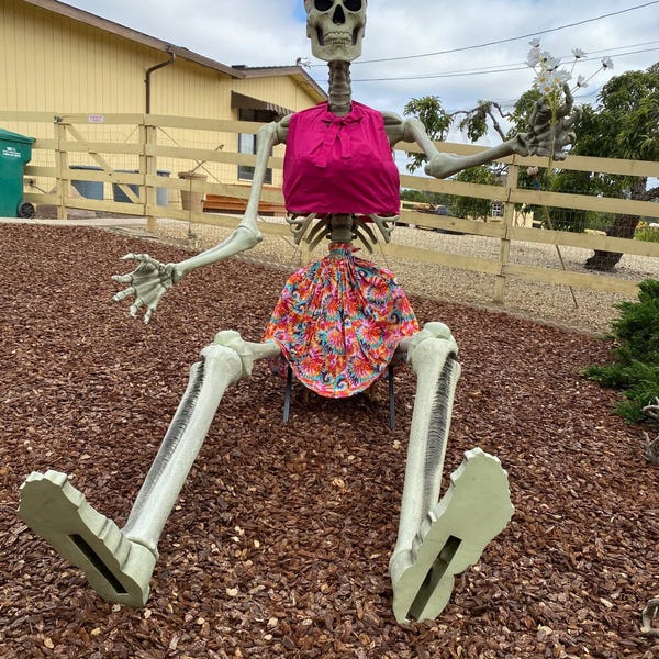 12 Ft Skeleton Scarecrow Costume!!!! (skelleton Not Included) - Etsy