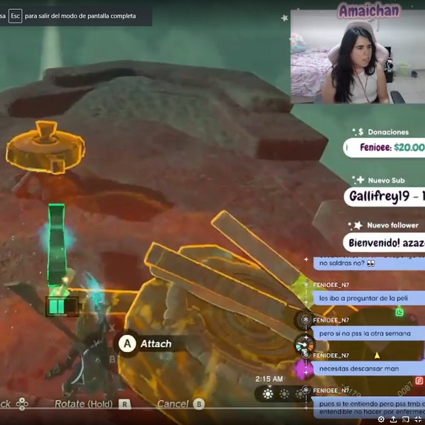 Most Customizable Chat Stream Widget: Animated Gradient Overlay ...