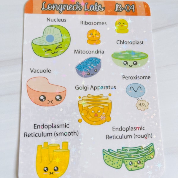 What's in a Cell? Organelles! (plant) | Decorative | Science Stickers ...