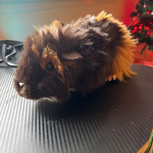 Custom Guinea Pig Stuffed Animal Pet Replica - Etsy