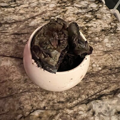 Job Promotion Gift, Job Promotion, New Job Gift, Job Promotion Care ...