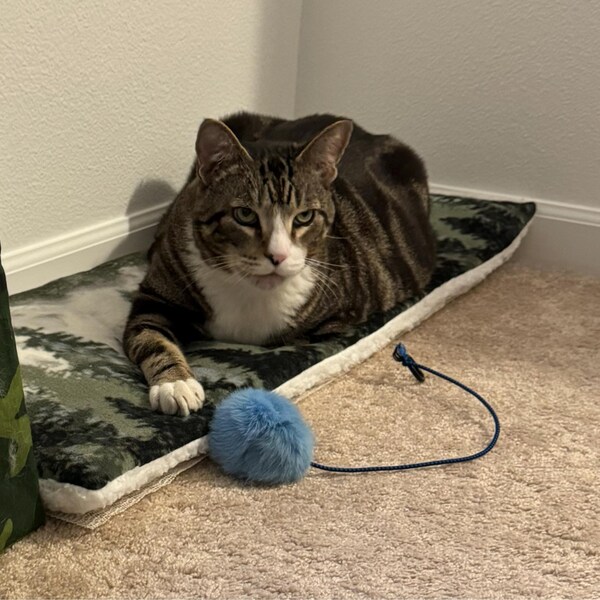 Window Sill Cat Pad/ 6 Sill Pad - Etsy