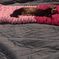 Build Your Own Rag Rug Twining Loom Downloadable Plans - Etsy Canada