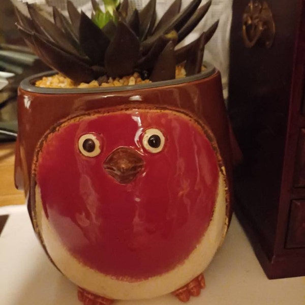 Robin Ceramic Planters - Etsy UK