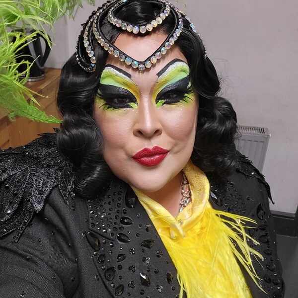 UPDO WIG, Vintage Wig, Drag Queen Synthetic Wigs, Styled Wigs, Drag ...