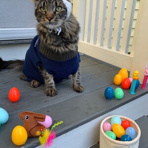 Bunny Rabbit Ear Hat for Cats - Etsy