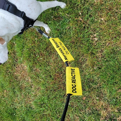 Dog Leash Sleeve Do Not Pet I Need Space in Training Ask to Pet Leash ...