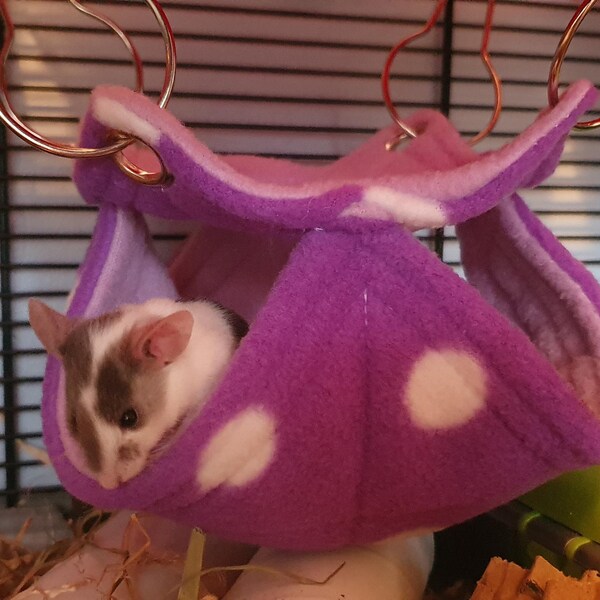 The Cosy Coffin Luxury Halloween Coffin in 3 Sizes, Hanging Cube ...