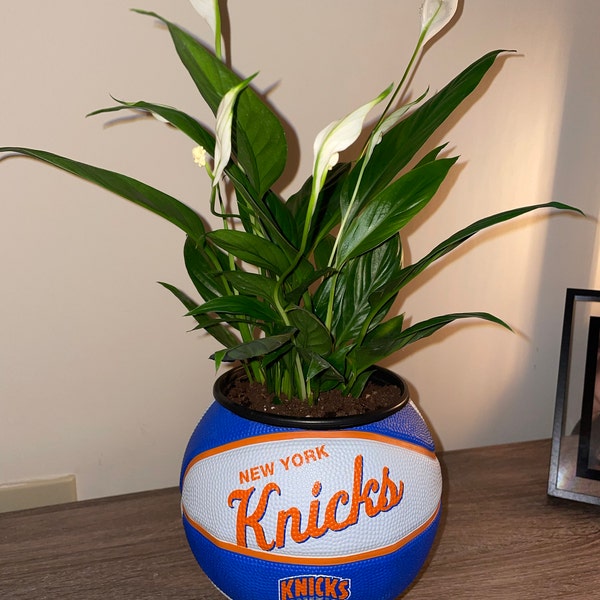 Mini Pink Basketball Planter | Hypebeast Decor | Sports Gift | Nike ...