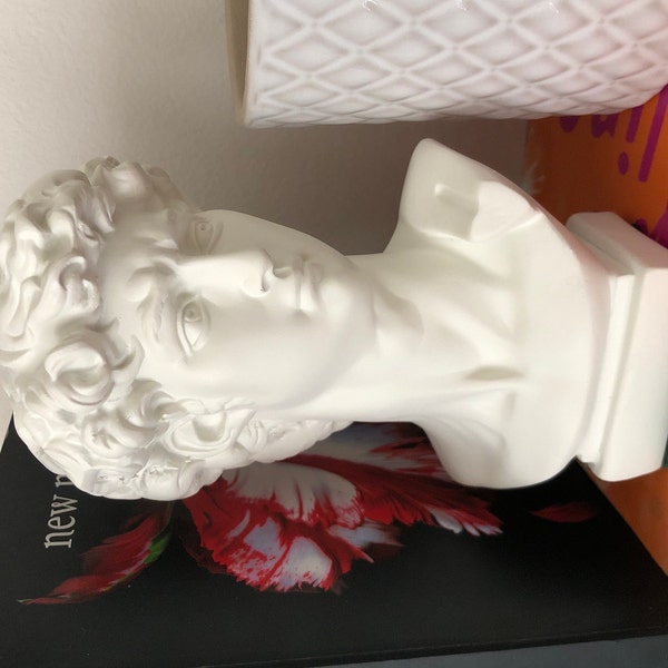 28cm, 24cm White David Statue Vase - Etsy