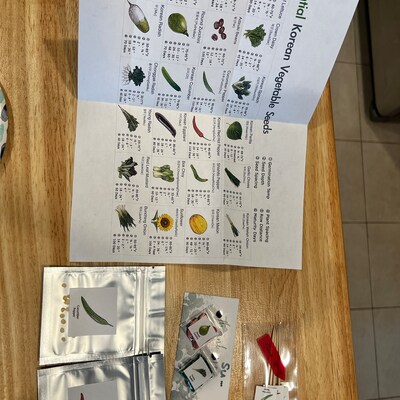 대파 100 Seeds / Korean Welsh Onion Seeds Seeds, Big Green Onion, Korean ...