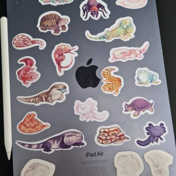 Boop a Snoot Ll Sticker Pack - Etsy