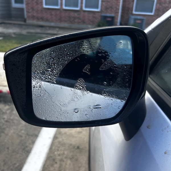 Daisy Flower Mirror Peeker 2pcs Anti Rain Anti Fog Car Decal Discreet ...