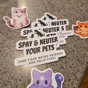 Cat / Kitten Medical Intake Form (medication List, Health Checklist ...