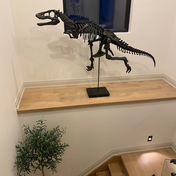 Life Size Utahraptor Skull - Etsy Canada