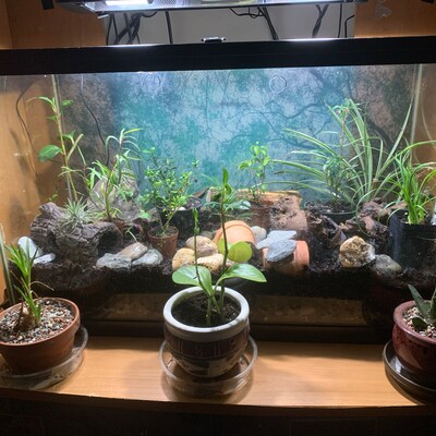 Leca Balls Expanded Clay Balls Hydro Balls - Etsy